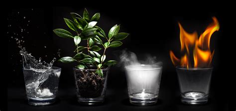 4k Earth Plants Fire Water Artwork Four Elements Air Hd Wallpaper