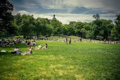 22 Cosas Fabulosas Que Hacer En Fort Greene Brooklyn