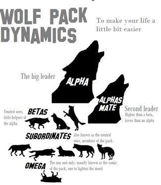 Image Result For Wolf Pack Hierarchy Inspiración Para La Escritura