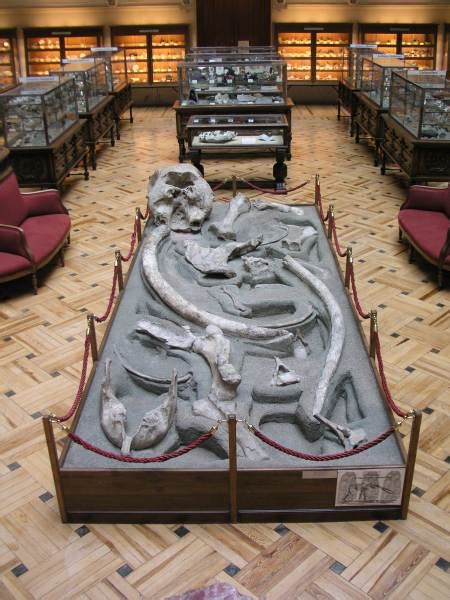 Anancus Las Higueruelas2 Boletín Gea