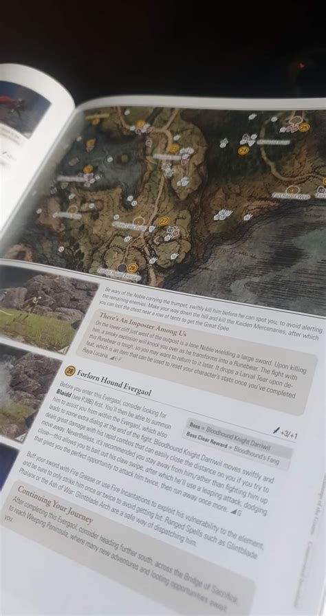 Elden Ring Guide Really Dropped A Among Us Joke Ffs R Eldenring