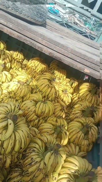 موٹا کیلا Youtube