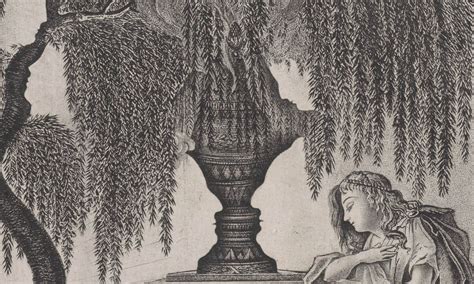 Prefrontal Cortex Involved In Conscious Vision Max Planck Neuroscience