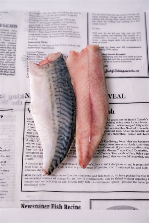 Mackerel Fillets