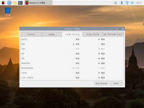 Raspberry Pi セットアップ 2020 春 ~ Ssh Vnc 接続まで