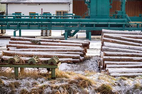 An Enterprise For Processing Timber Into Timber In The System Of The Logging Industry Stock