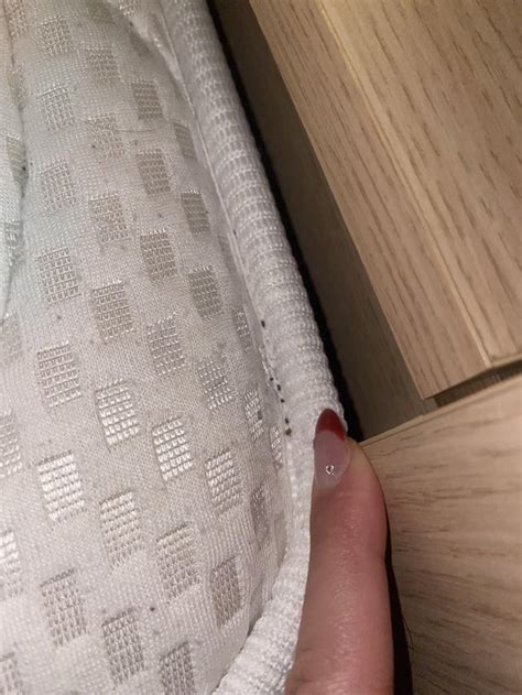 Weird Worms In Bed With Bites Rwhatsthisbug