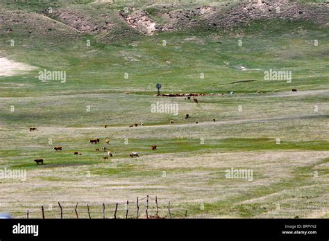 A Rolling Grass Plain In The Sandhills Of Nebraska May 29 2010 Stock