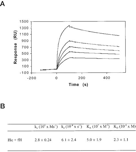 Kinetic Analysis Of The Interaction Between Hic And Factor H By Surface Download Scientific