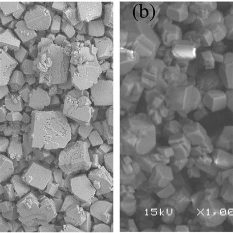Sem Images Showing The Authigenic Calcite Crystals Deposited On The