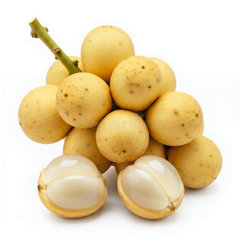 Lanzones Fruit Closeup Studio Shot Stock Illustrations 8 Lanzones