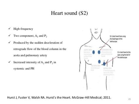 Heart Sounds