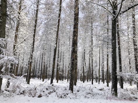 Reportage Photo Pascal Auclair En Belgique Mars 2020 Institut Pleine Conscience