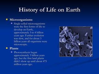 Evolution Ppt
