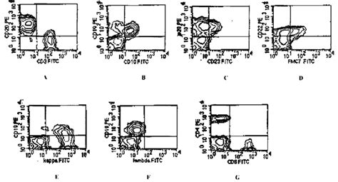 Contour Plots Showing Flow Cytometry Profile A Cd20 B Cell