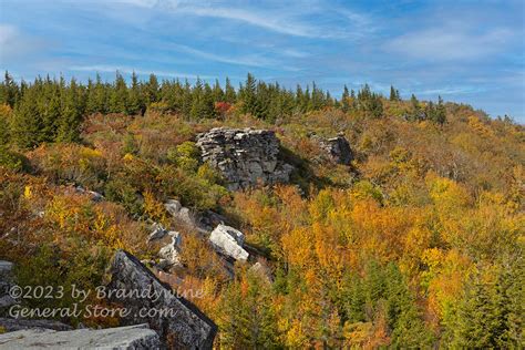 Small Rock Ledge In Middle Of Fall Colors Art Print Brandywine General Store