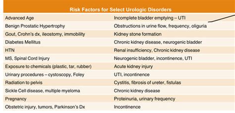 Exam 3 Genitourinary Dysfunction Flashcards Quizlet