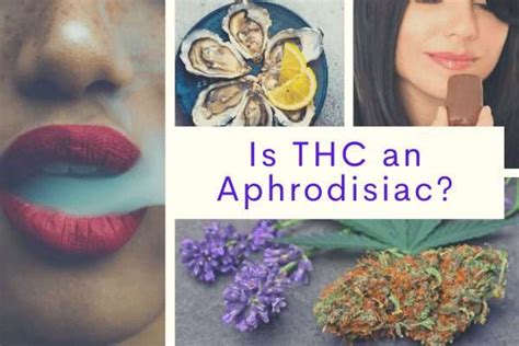 Cannabis And Sex Is Thc An Aphrodisiac