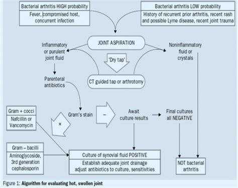 Septic Infectious Arthritis Physiopedia