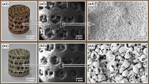 The Macroscopic Appearance Of The 3d Titanium Implant Samples Shown By Download Scientific