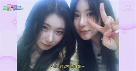 채령 친언니 채연 멀리한 이유” 속마음 고백 채배불