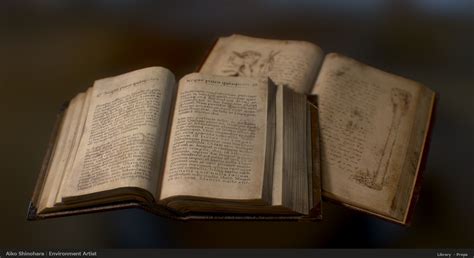 Library Assets By Aiko Shinohara