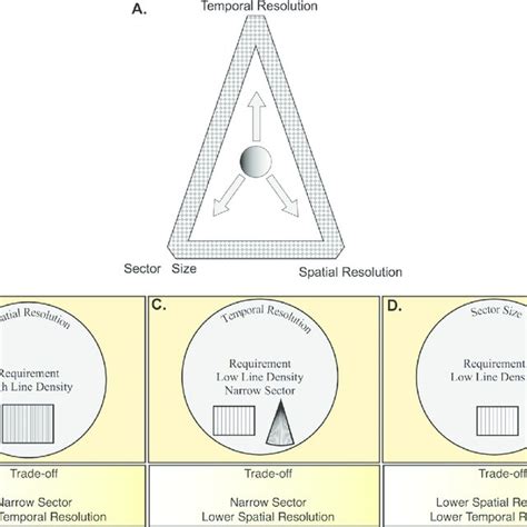 Quantitative Analysis Of The Mitral Valve Illustrations Depicting The