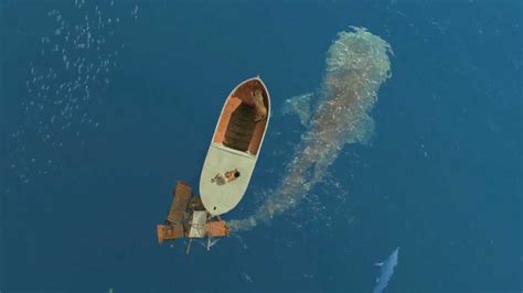 Life Of Pi Whale Swimming Under Boat Unseenogv Youtube