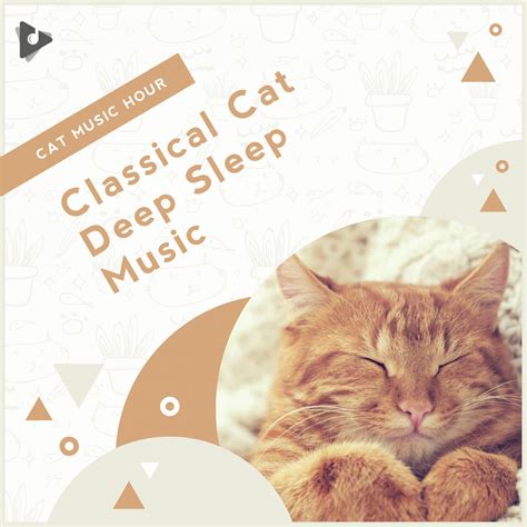 Classical Cat Deep Sleep Music Album Lullify