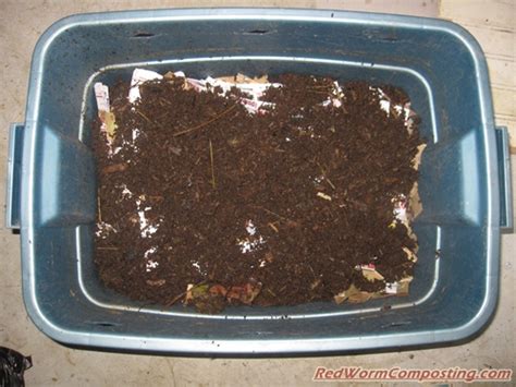 Super Simple Passive Worm Farm Red Worm Composting