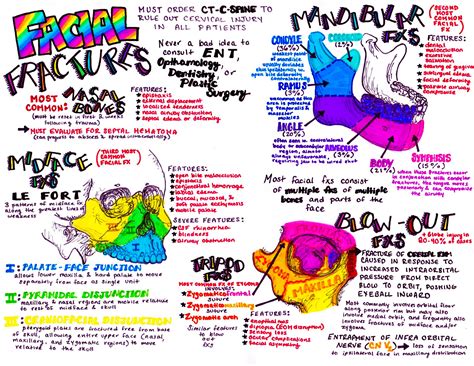 Emergency Medicine Educationcore Em Facial Fractures