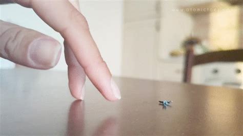 Giantess Hand Porn Videos Clips4sale