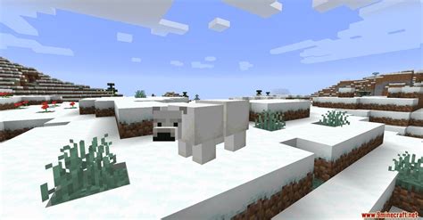 Identity Mod 1192 1182 Mobs Morphing Mc Modnet