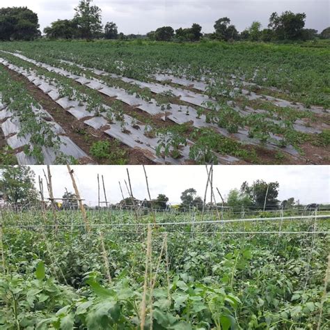 Dnyaneshwar Khedkar Posted On Linkedin