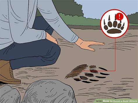 How To Avoid A Bear Attack While Camping Or Hiking Wikihow