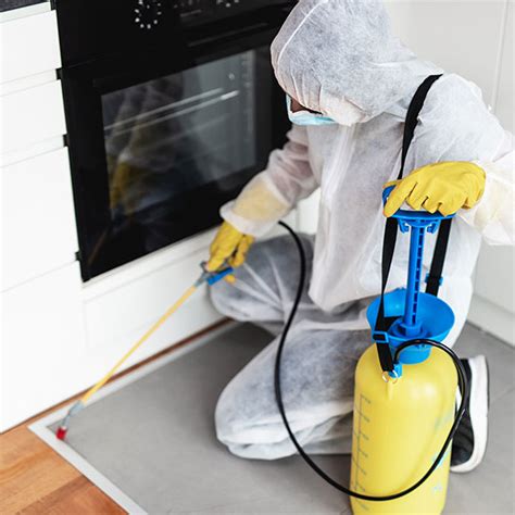 Pest Control San Jose Ca Ants Fleas And General Pests Earls Pest