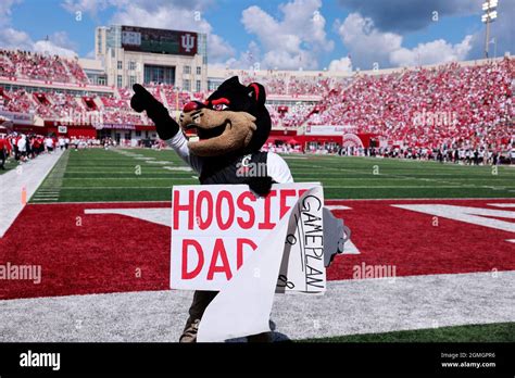 Iu Mascot