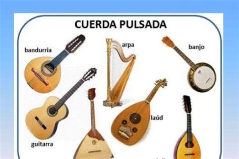 Instrumentos De Cuerda Una Mirada A Sus Diferentes Tipos