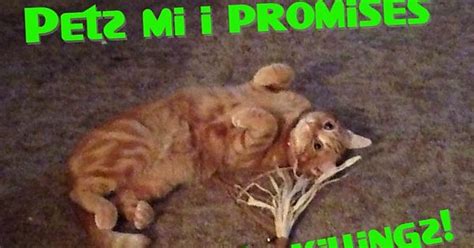 Its A Trick Get An Axe Imgur