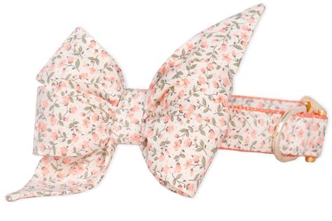 Belle Bow Collars Crew Lala