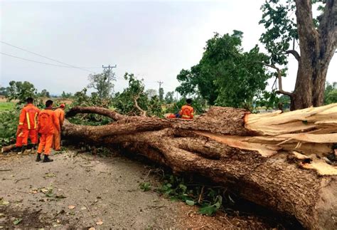 ပွင့်ဖြူမြို့နယ်၌ မိုးသက်လေပြင်းတိုက်ခတ်မှုကြောင့် ကျောင်းကုန်ကြီး