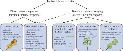 A Categorisation Tree Of Indirect Defences Based On The Nature Of Plant