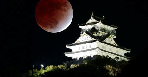 Las 16 Mejores Fotos Del Eclipse Parcial Lunar Infobae