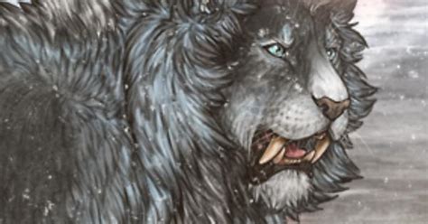 Broad Icon Album On Imgur