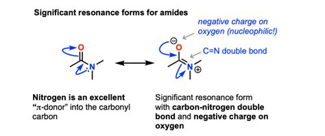 Amide Hydrolysis Using Acid Or Base Master Organic Chemistry