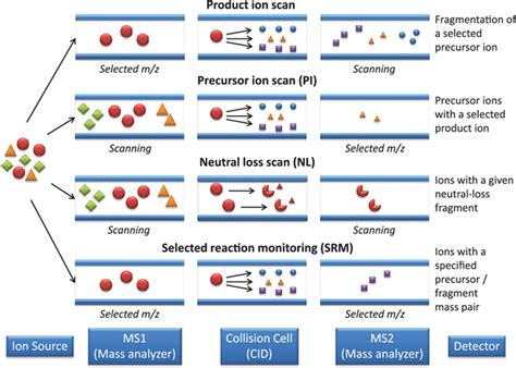 Lipidomics Circulation Cardiovascular Genetics