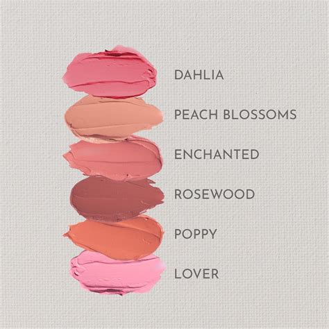 Absidy Soft Cheeks Whipped Serum Blush Luxe Organix