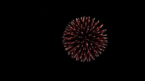 Fireworks Background Black Screen Fireworks Animations Free To