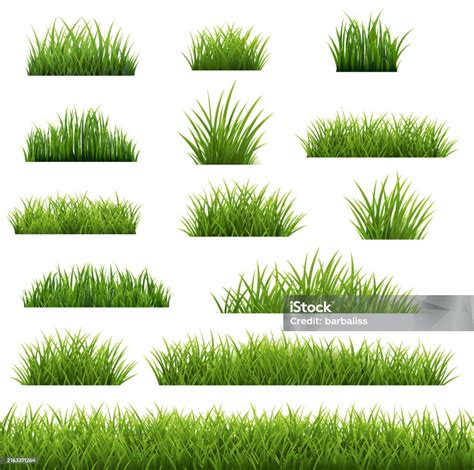 Big Set Green Grass Isolated White Background Stock Illustration