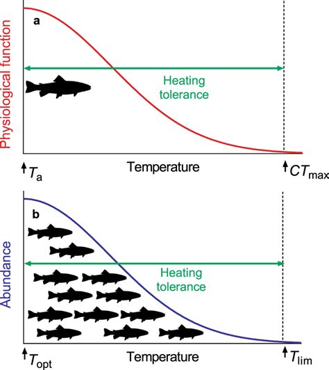 Turnip Temperature Tolerance At Jon Lefebre Blog